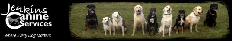Training - Jenkins Canine Services